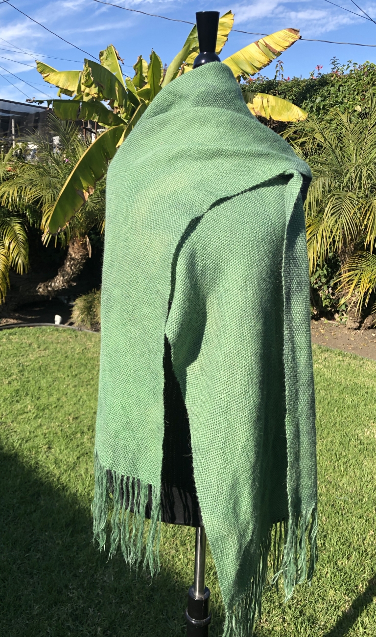 green_alpaca.4